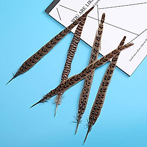 AWAYTR 20pcs Natural Pheasant Feathers - Pheasant Tail 8-11inch(21-28cm) for DIY Decoration (Female Pheasant Tail)
