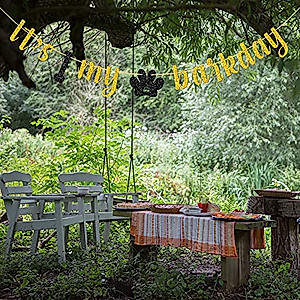 WeBenison Glitter It's My Barkday Banner, Pet Dog Birthday Banner, Puppy Birthday Party Decorations Gold & Black