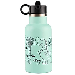 Citron - Stainless Steel Water Bottles, Insulated Metal Water Bottle- 12oz Thermal Water Bottle (Dino)