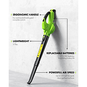 Leaf Blower Cordless with Battery and Charger - Anykit Electric Leaf Blowers Battery Operated, Lightweight 20V 2 Speed Modes Handheld Blower for Lawn Care Green