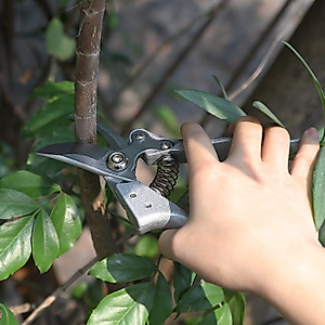 JOYFUL&HOPEFUL Bypass Pruning Shear, Garden Shear Pruner with Precision Blade for Gardening,Trimming Plant Tree Flower