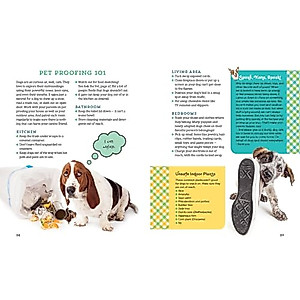 A Kid's Guide to Dogs: How to Train, Care for, and Play and Communicate with Your Amazing Pet!