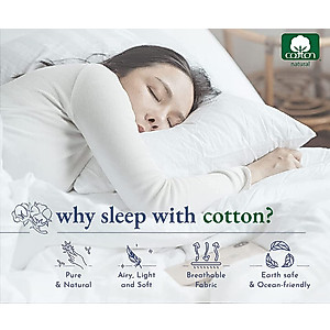 4 Piece Premium Sheet Set Cotton Full_54"x75", 100% Egyptian Cotton, 1000 Thread Count, 16 Inch Deep Pocket of Cotton Sheets, (Light Grey Solid) 100% Long Staple Sateen Soft Combed Cotton