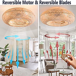 SaWaUto 20 Inch Cage Ceiling Fan, Farmhouse Low Profile Ceiling Fan with Remote Control, Mute Motor w/ Remote Control Flush Mount Ceiling Fan Lighting Fixture for Bedroom Living Room Kitchen