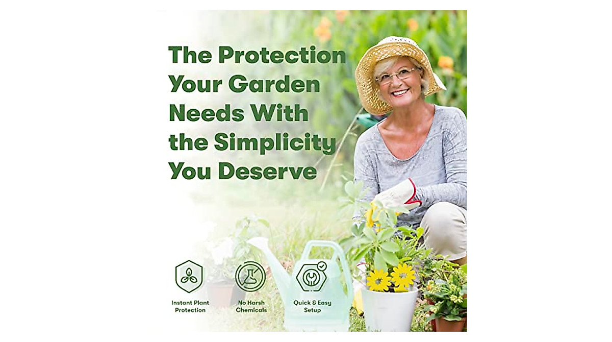 BugMD Sticky Bug Traps - Effective Indoor & Outdoor Pest Control