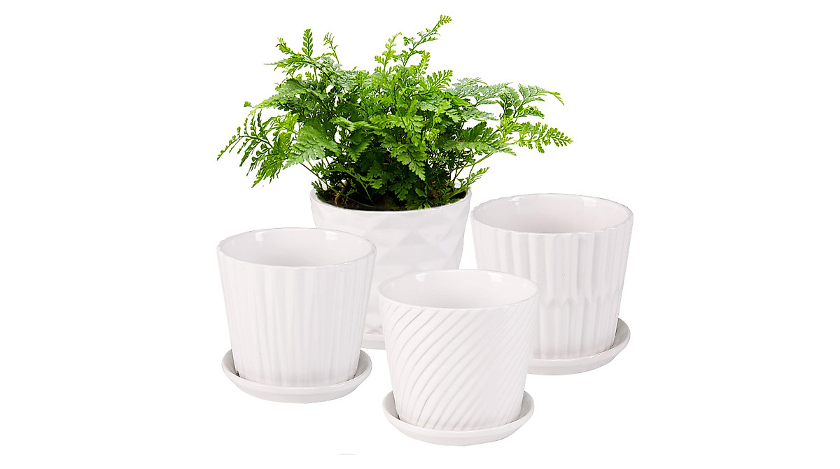 Sietpoek Ceramic Plant Pots - Set of 4 for Succulents