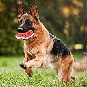 MONDOTOY Dog Chew Toys,Tough Dog Toys for Aggressive Chewers,Durable Rubber Puppy Toy for Training and Teeth Cleaning,Suitable for Meduium Large Breed,Gifts for Halloween Chirstmas