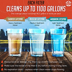 Practical Survival 2 High Capacity Emergency Water Straws - Lightweight, Reusable, No Expiration Date