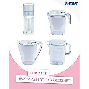 BWT 6-Pack Long Life Mg2+ Cartridge for Water Filters, 120-Liter Capacity