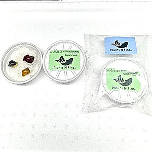 Mystery Snails (3 Pack) Assorted + Food Sample | Live Arrival Guarantee Freshwater Live Aquarium Snails (Assorted)