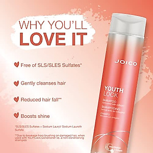 YouthLock Shampoo Formulated With Collagen | Youthful Body & Bounce | Reduce Breakage & Frizz | Soften & Detangle Hair | Boost Shine | Sulfate Free | With Arginine | 10.1 Fl Oz