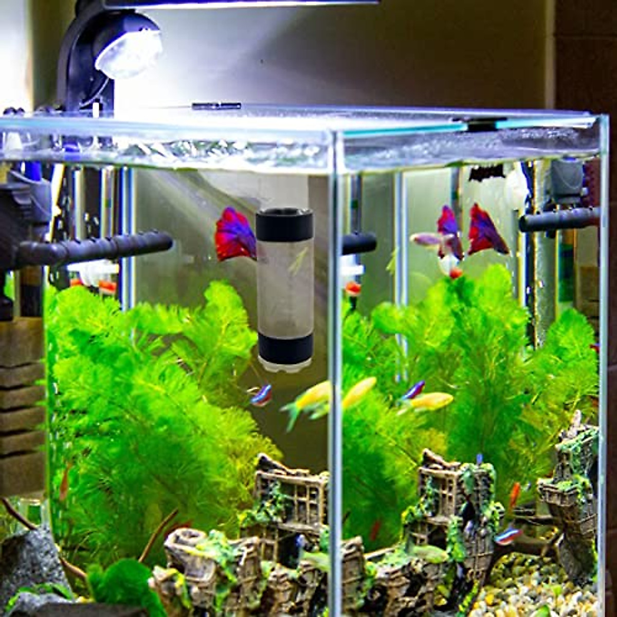 SHYEKYO Stainless Steel Aquarium Filter Intake Cover, Fish Shrimp Protect Cover Filter Guard Safe Inlet Inflow Protect Basket Mesh Media for Aquarium and Fish Tank Use (18mm Inner Diameter)