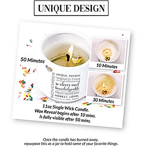 Pavilion GIft Company - November 11 oz Wax Reveal Candle, Natural Soy Wax Birthstone Candle, Jasmine Scented, Gemstone Candle with Crystal Inside, Birthday Gifts for Women, 1 Count