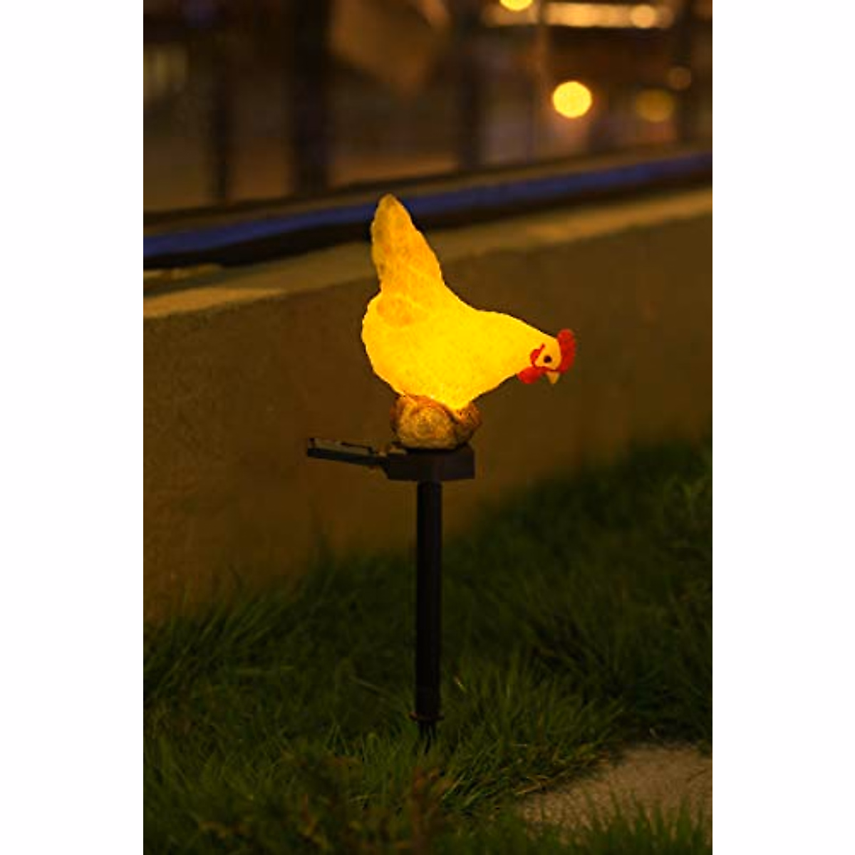 CHUANGFENG Solar Chicken Lights Chicken Statue Decorative Outdoor ...