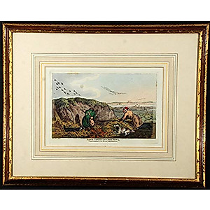 Bank Shooting for Fowl