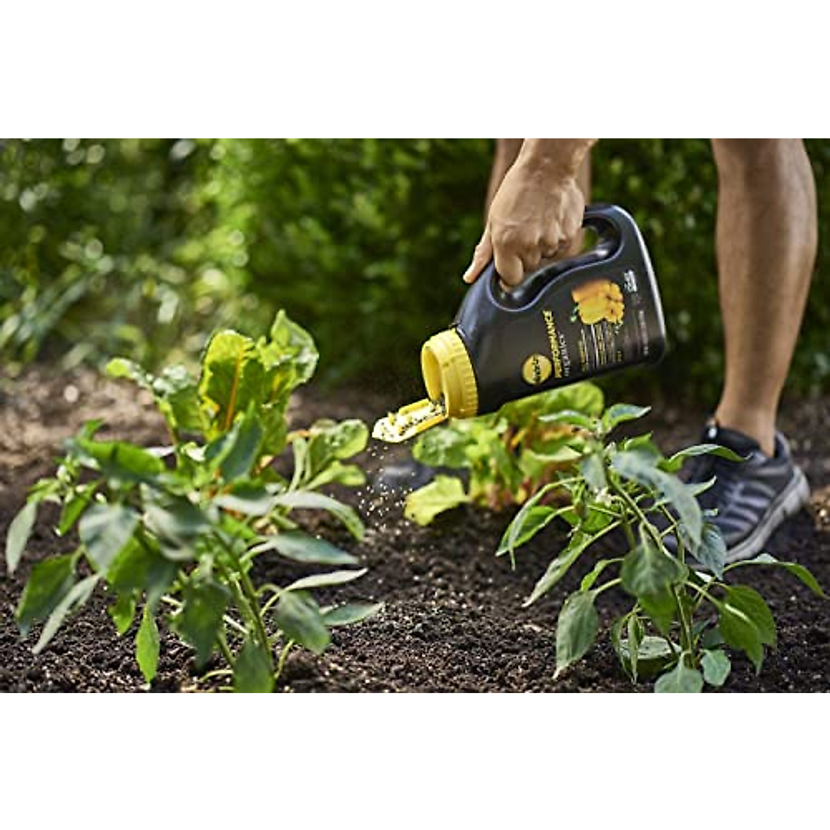 Miracle Gro 3003510 2.5 Lb Performance Organics All Purpose Plant Nutrition Granules 9-2-7