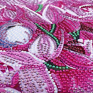 HAPPIShare Diamond Painting Kits for Adults – 5D DIY Diamond Number Kits with Full Drill – Crystal Rhinestone Diamond Embroidery Paintings Great for Home, Office, Wall Deco