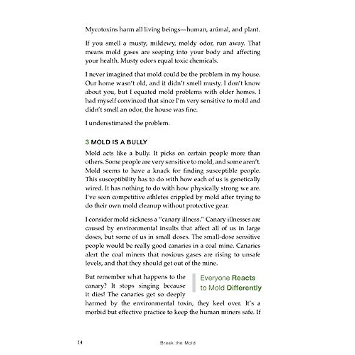 Break the Mold: 5 Tools to Conquer Mold and Take Back Your Health