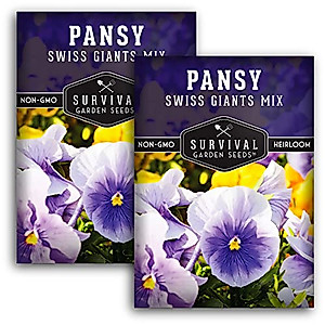 Survival Garden Seeds - Swiss Giant Mix Pansy Seed for Planting - 2 Packs with Instructions to Plant and Grow Beautiful and Edible Pansies in Your Home Vegetable Garden - Non-GMO Heirloom Variety