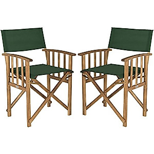 Safavieh Outdoor Living Collection Laguna Director Chairs