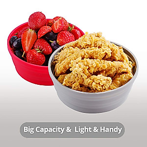 Ecoart Silicone Expandable Collapsible Bowl for Travel Camping Hiking (Red(L))