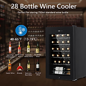 28 Bottle Compressor Wine Cooler Refrigerator, Wine Fridge Freestanding Wine Cellar for Red Wine, White, Champagne, Sparkling Wine with Digital Temperature Control, Soft LED Light, Glass Door
