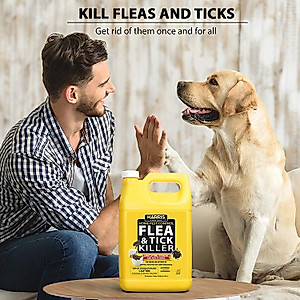 Harris Flea and Tick Killer, Liquid Spray with Odorless and Non-Staining Extended Residual Kill Formula (2-Pack, Gallon)