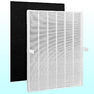 115115 Size 21 Filter A Compatible with Winix PlasmaWave Air Purifier C535, 5300, 5300-2, 6300, 6300-2, AM90, P300, True HEPA Filter with 4 Activated Carbon Filters