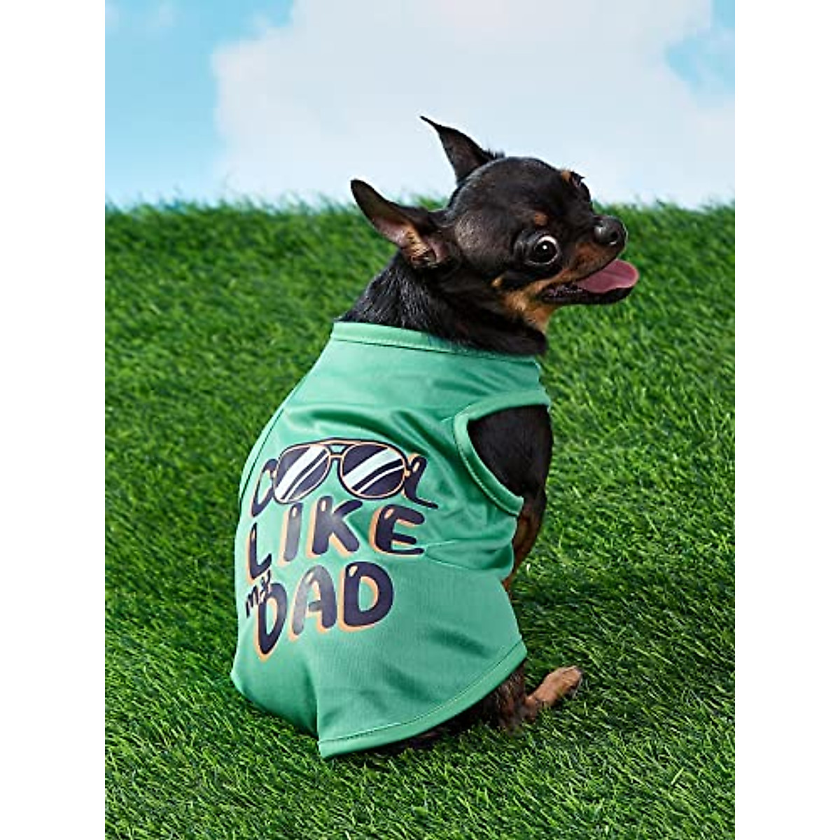 QWINEE Dog Tank Top Cute Letter Cat Shirt Breathable Casual Sports Vest for Small Medium Dogs Puppy Kitten Green XXS