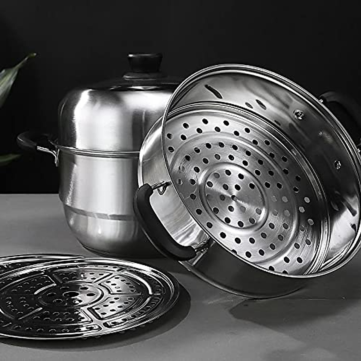 Beeiee Steamer pot for cooking,8.5 Quart,Vegetable steamer,Food steamer,Dumpling steamer,Veggie steamer,Seafood steamer,Fish steamer,Egg steamer,Bun steamer,Steamer cookware,Stainless steel