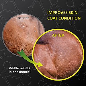 GastroMend XC, 100% Natural Equine Stomach Health for Horses, Promotes Healing & Prevention of Gastric Ulcers, Highly Potent & Effective, Supports Gastric and Hindgut Health, 30 Servings, Made in USA