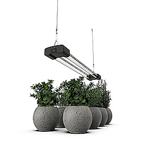 DYMOND BoostGro LED Grow Light Full Spectrum Linkable 5000K Daylight + 660nm Red Indoor Plant Lighting Fixture (2 FT, Black)