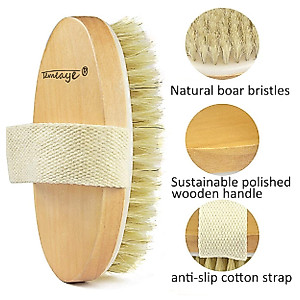 TEMEAYE Dry Brushing Body Brush, Body Skin Exfoliator Scrubber, for Skin Dry Brushing Massage, Lymphatic Drainage & Blood Circulation Improvement, Medium Strength (Boar Bristle and Wooden Handle)
