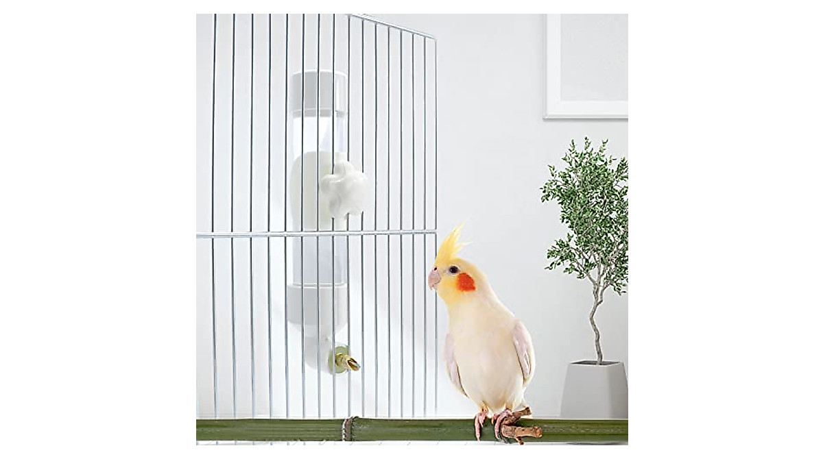 Automatic Bird Water Dispenser for Medium Birds