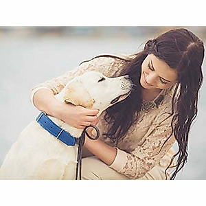 dog has bad breath - DOG DIGESTIVE AID PROBIOTICS - NATURAL APPROACH - SOLUTION TO BAD BREATH AND GAS - COUNTER DIARRHEA - dog probiotics supplement - 2 Bottles (120 Treats)