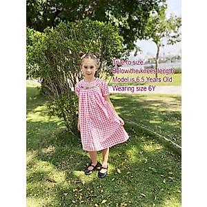 Baby Infant Girl Easter Bunny Parade Egg Hunting Hand Smocked Bishop Dress Pink Gingham 12 Months