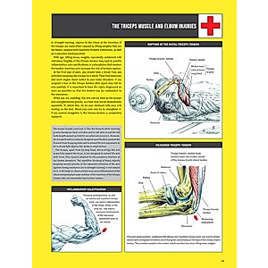 Strength Training Anatomy