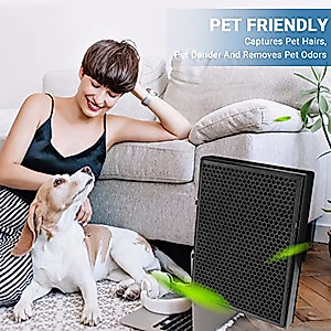 Filter B 114190 Replacement for Winix Air Purifier 9500 and U300 Filters, 3-in-1 Filtration System Includes Fine Pre-Filter, H13 True HEPA, and Activated Carbon, Black