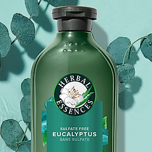 Herbal Essences Bio: Renew Potent Aloe + Eucalyptus Conditioner Scalp Balance, 13.5 Fl Oz, 5.523 Fl Oz