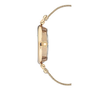 Anne Klein Women's Quartz Metal and Stainless Steel Dress Watch, Color:Gold-Toned