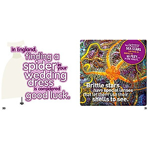 Weird But True! Animals