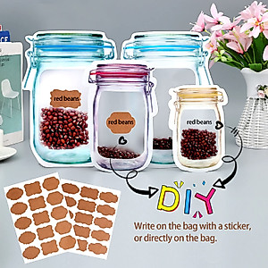 KESTAR 30 Pcs Mason Jar Zipper Bags, Spice Storage Bags, Reusable Food Saver Storage Bags Snacks Zipper Sealed Bags Fresh Bags with 30 PCS Labels for Travel Camping Picnic (Style01 30 PCS)