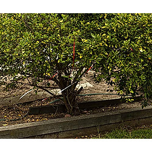 Mylar Flash Tape Bird Scare Device 2 Each x 1/2 inch x 300 feet