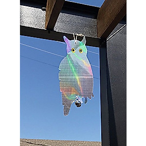 Patio Eden 4 Pack Bird Deterrent Scare Owls - Effective Hanging Bird Control Repellent