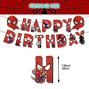 Spider Birthday Decorations Happy Birthday Banner Hanging Swirls for Spider Birthday Party Supplies