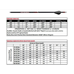 Carbon Express Maxima Sable RZ 400 Arrow, 6-Pack Fletched (51201), Black
