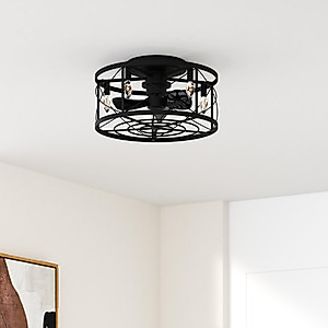 Amico 20 in caged ceiling fans with lights bladeless