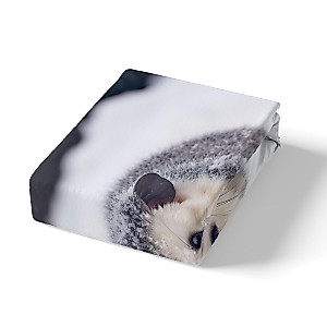 jejeloiu Full Size Opossum Sheet Set Boys Girls Possums Gifts Bed Sheets Set for Kids Women Men Ultra Soft Possums Bedding Set Possum Stuffed Animal Bed Set (Flat Sheet + Fitted Sheet + Pillow Case)