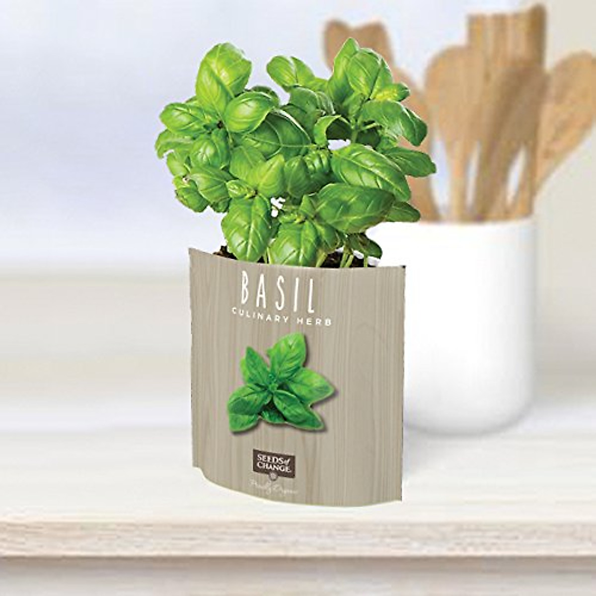 Seeds of Change 220-08150 Certified Organic Basil Garden Pouch, Green