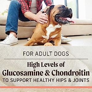 Merrick Healthy Grains Premium Adult Dry Dog Food, Wholesome And Natural Kibble With Salmon And Brown Rice - 12.0 lb. Bag